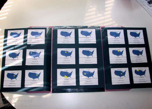 Our United States Lapbook - Marine Corps Nomads